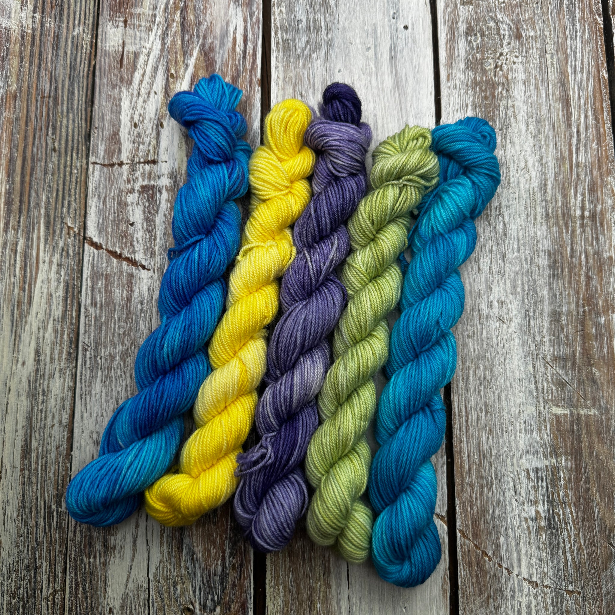 Sock Yarn Mini Skein Sets (5 minis per set) – Southern Skeins